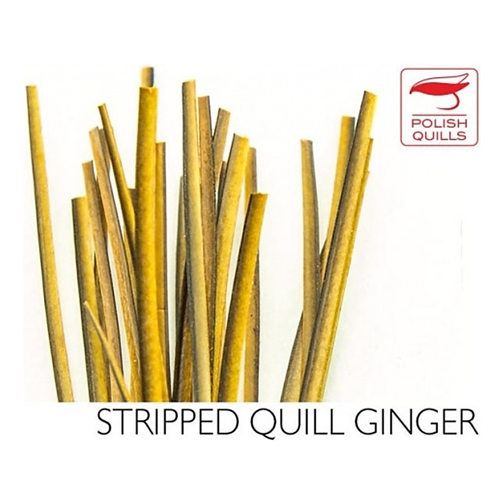 Polish Quill Hand Stripped Quill Ginger | Fishline.se